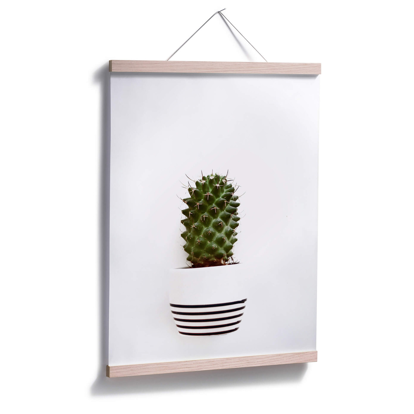 Poster Mein kleiner Kaktus - Solo | wall-art.de