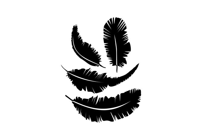 Wandtattoo Feder Set - Federn als Wandbild zur Dekoration | wall-art.de