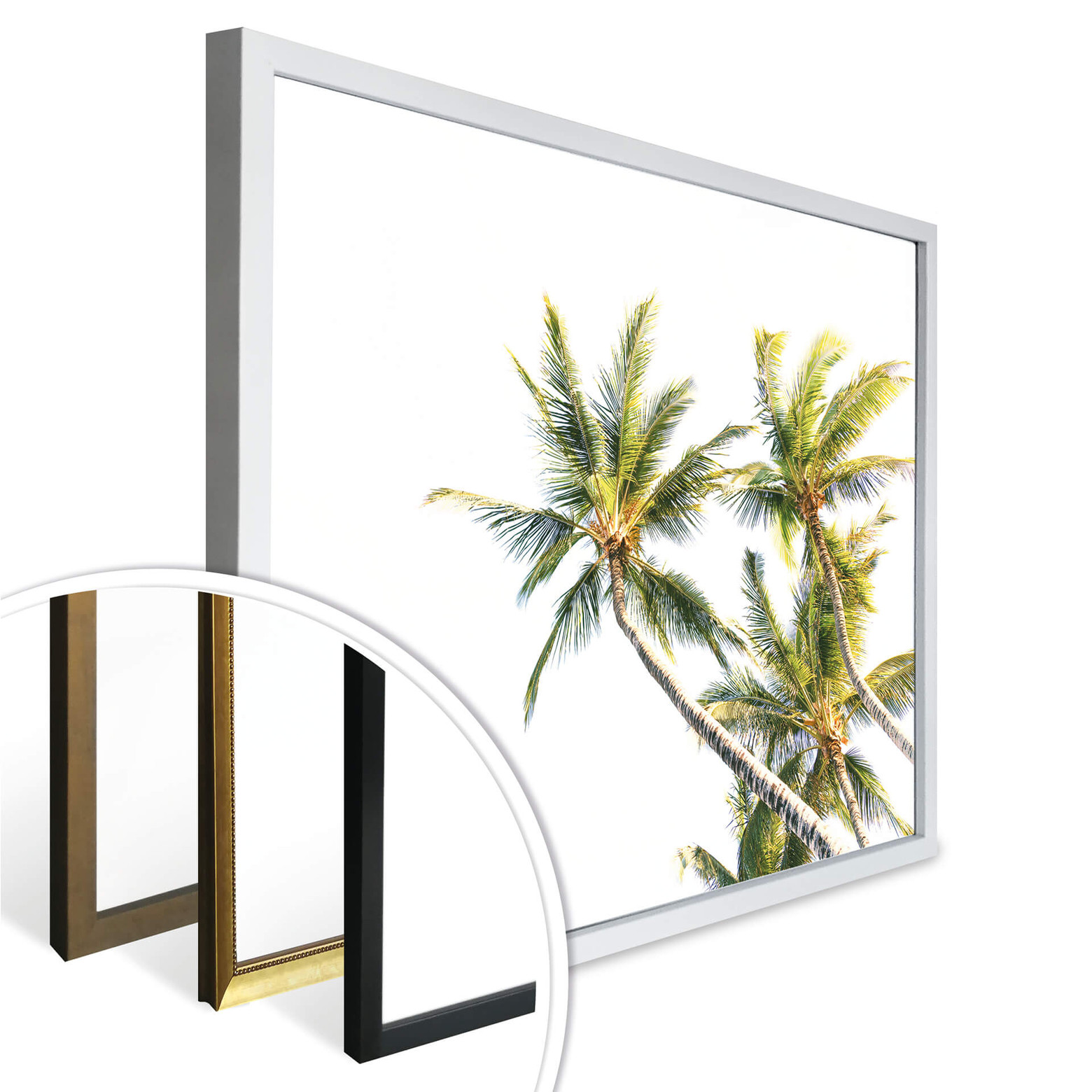 Poster - Palmen 05 | wall-art.de