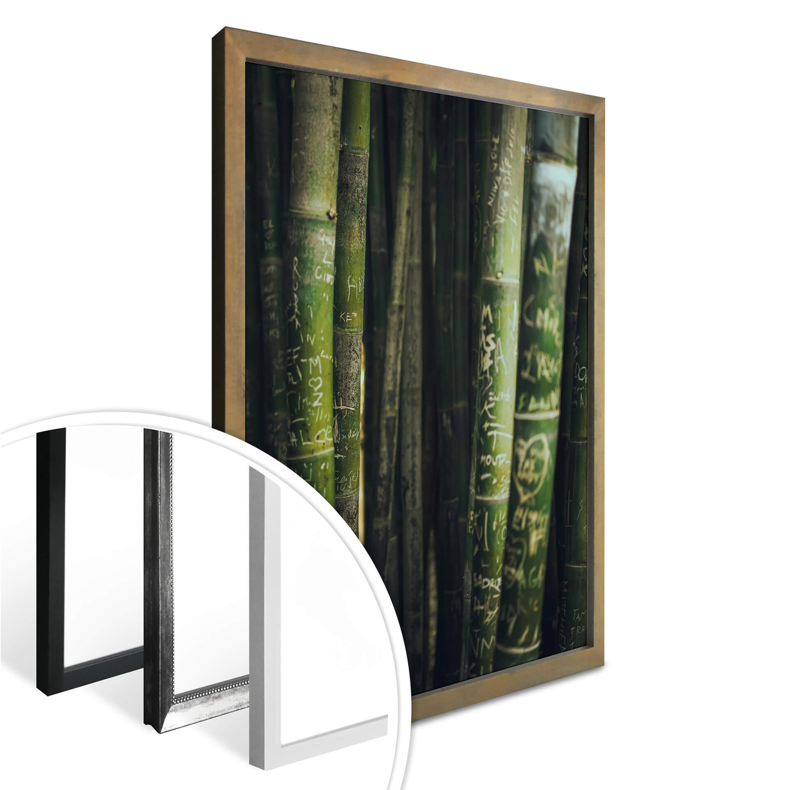 Poster Grüner Bambus | wall-art.de