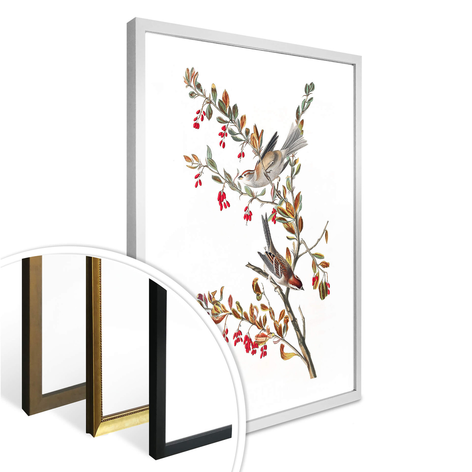 Poster Zwei Spatzen | wall-art.de