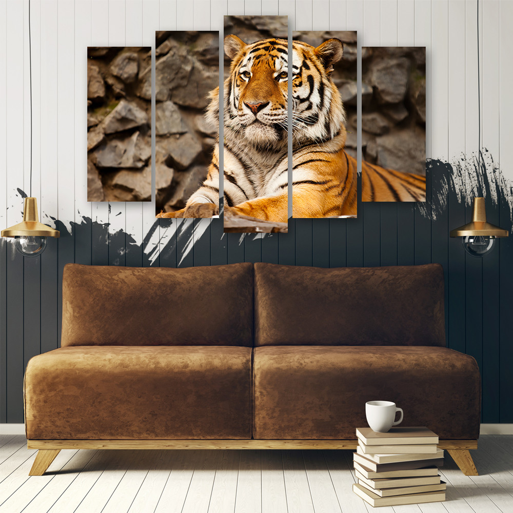 Leinwandbild 5 teilig, Afrika Tiger Tiere | wall-art.de