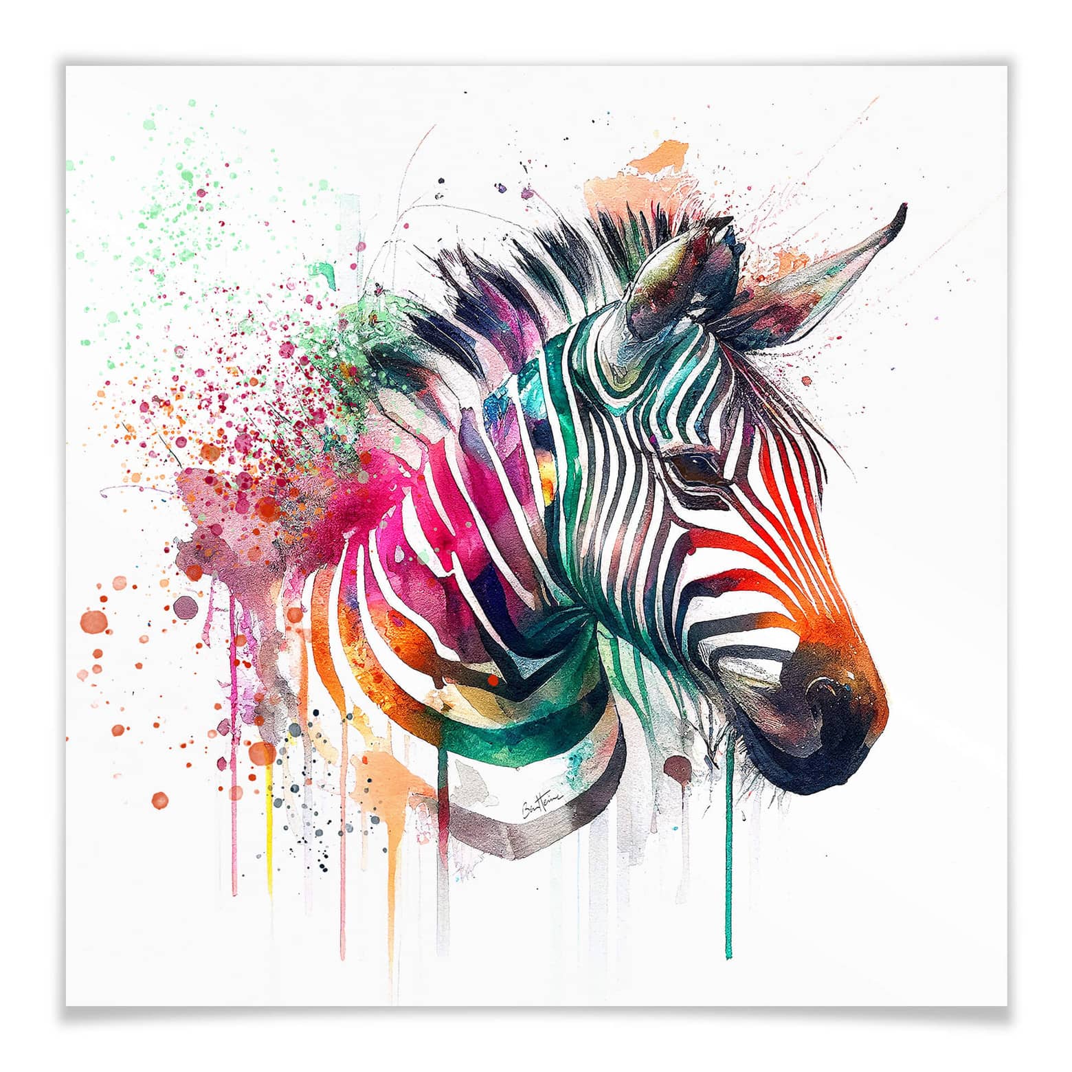 Poster Heine - Rainbow Zebra | wall-art.it