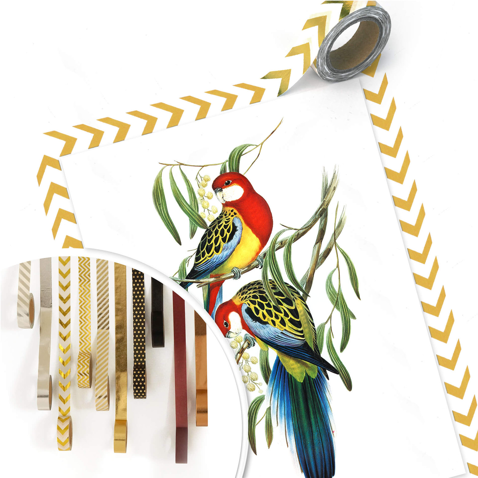 Poster Bonte Vogels | wall-art.nl