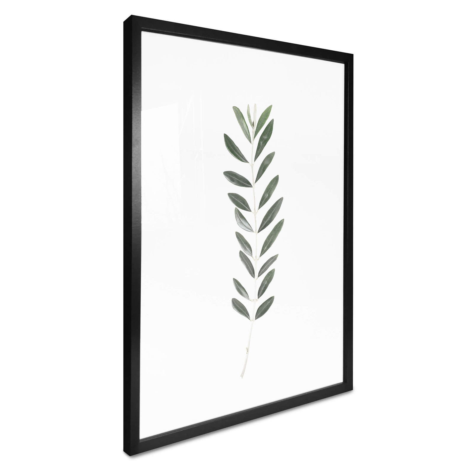 Poster Sisi & Seb - Ulivo | wall-art.it