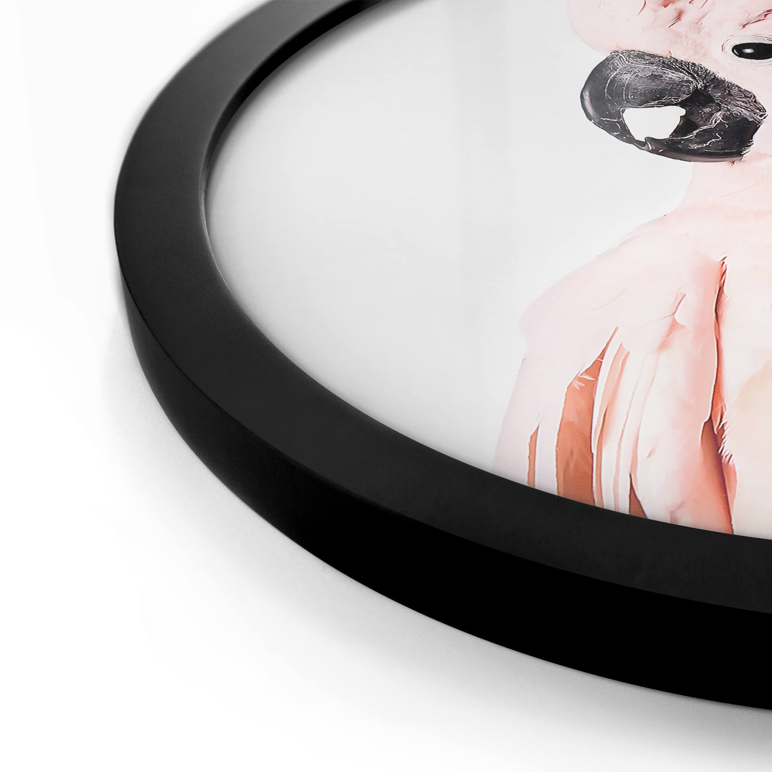 Poster Sisi & Seb - Pink Cockatoo | wall-art.fr