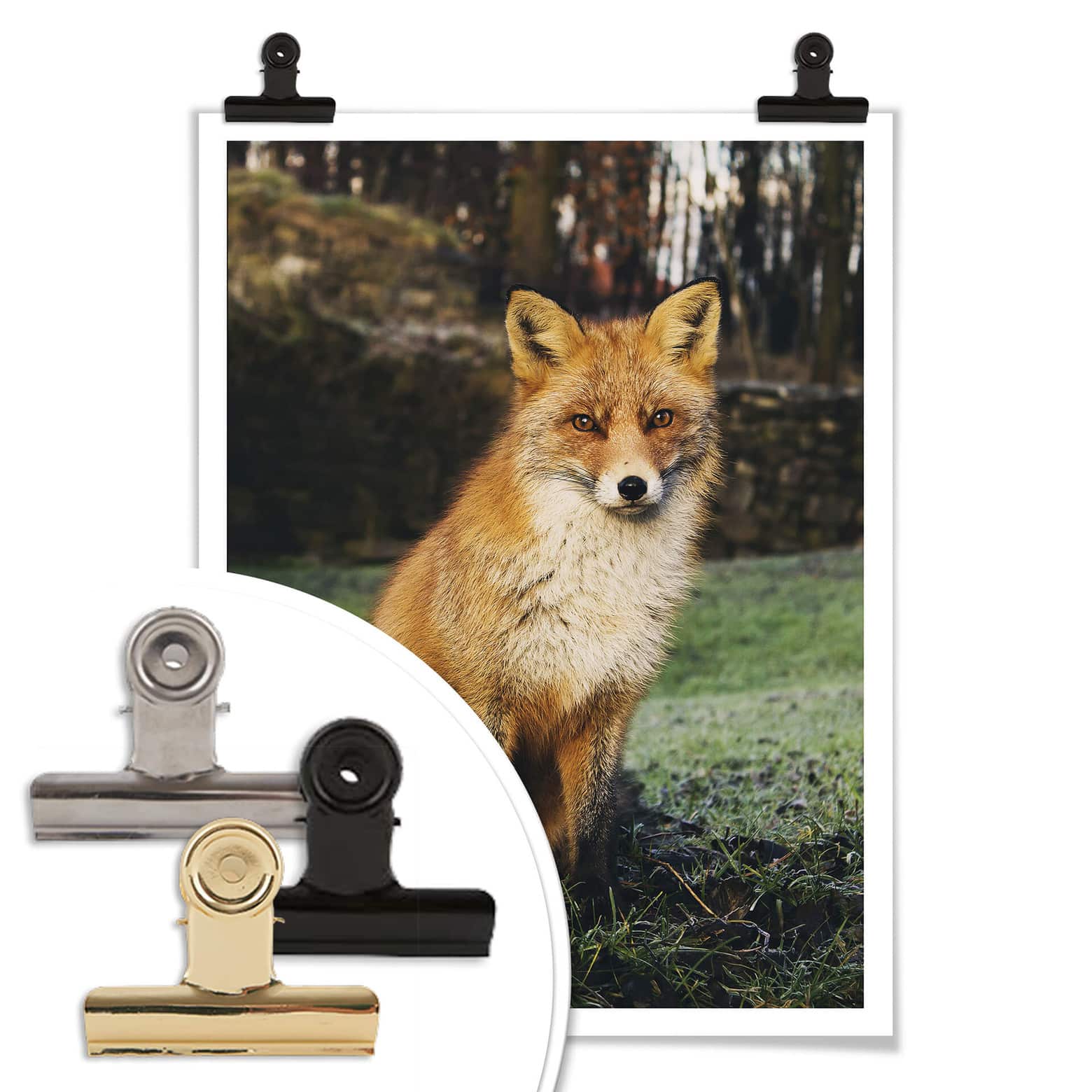 Poster Fuchs 01 | wall-art.de