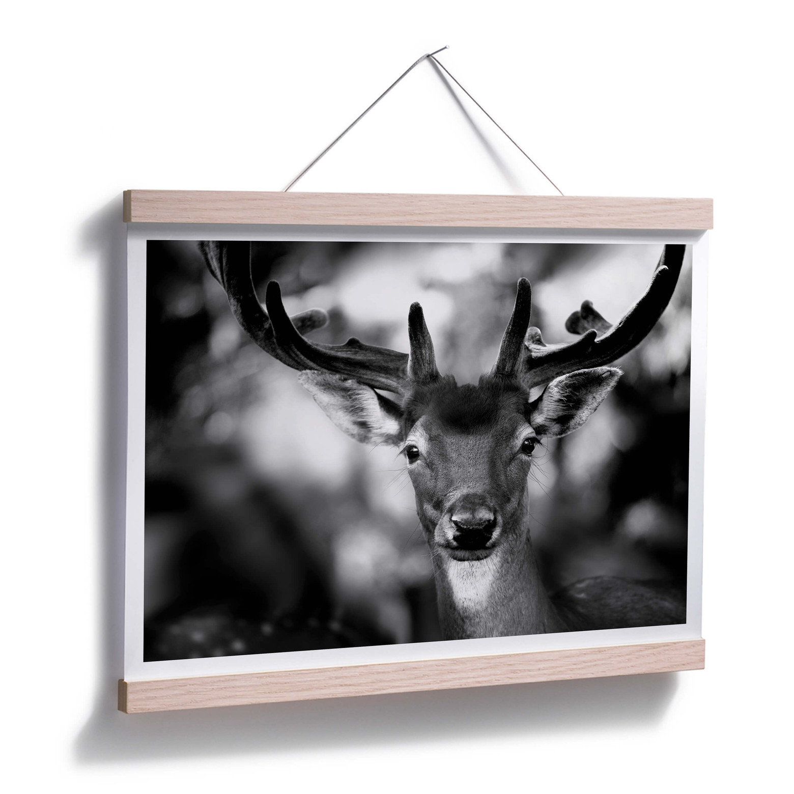 Poster Sandra - Junger Hirsch | wall-art.de