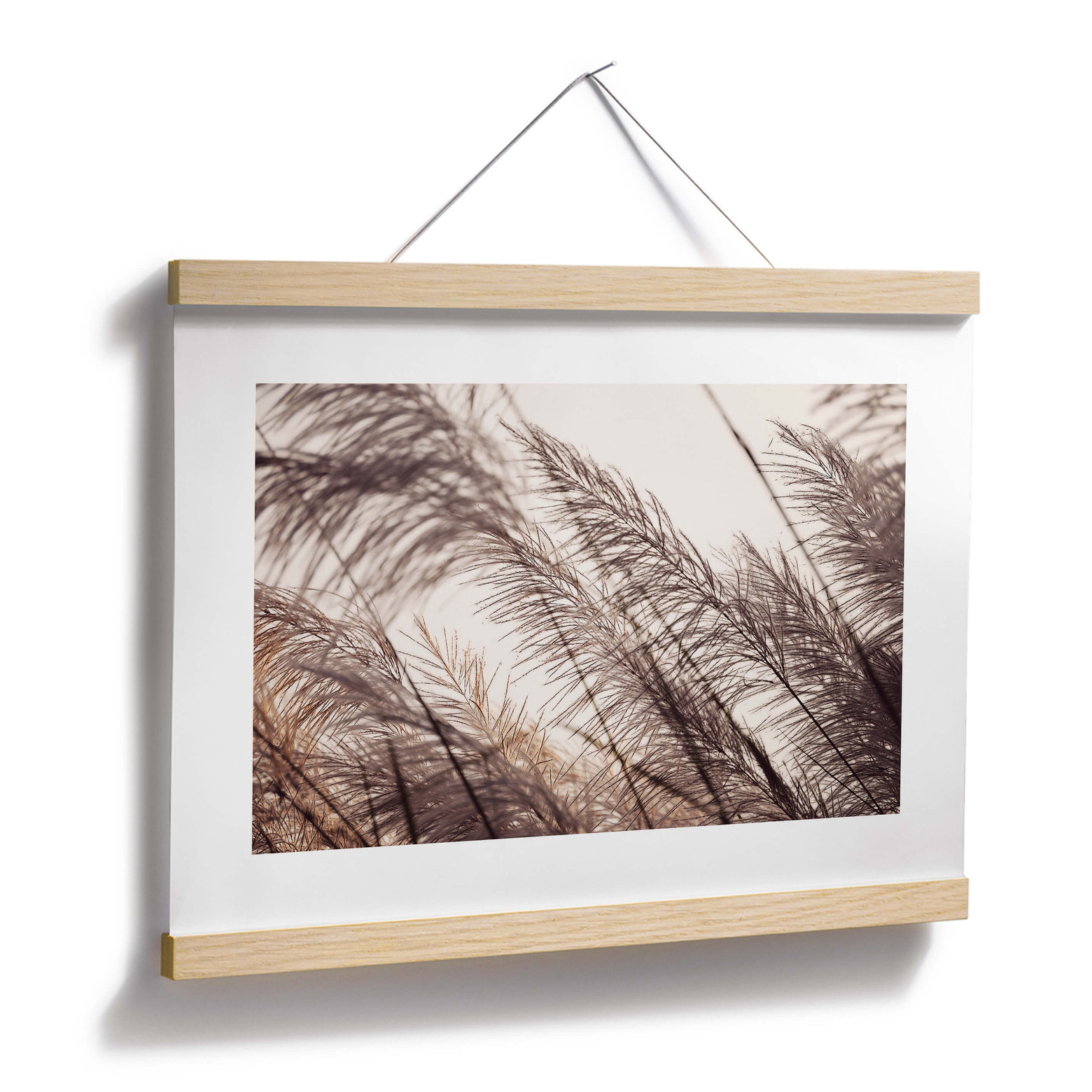 Poster Gräser in Pastell | wall-art.de