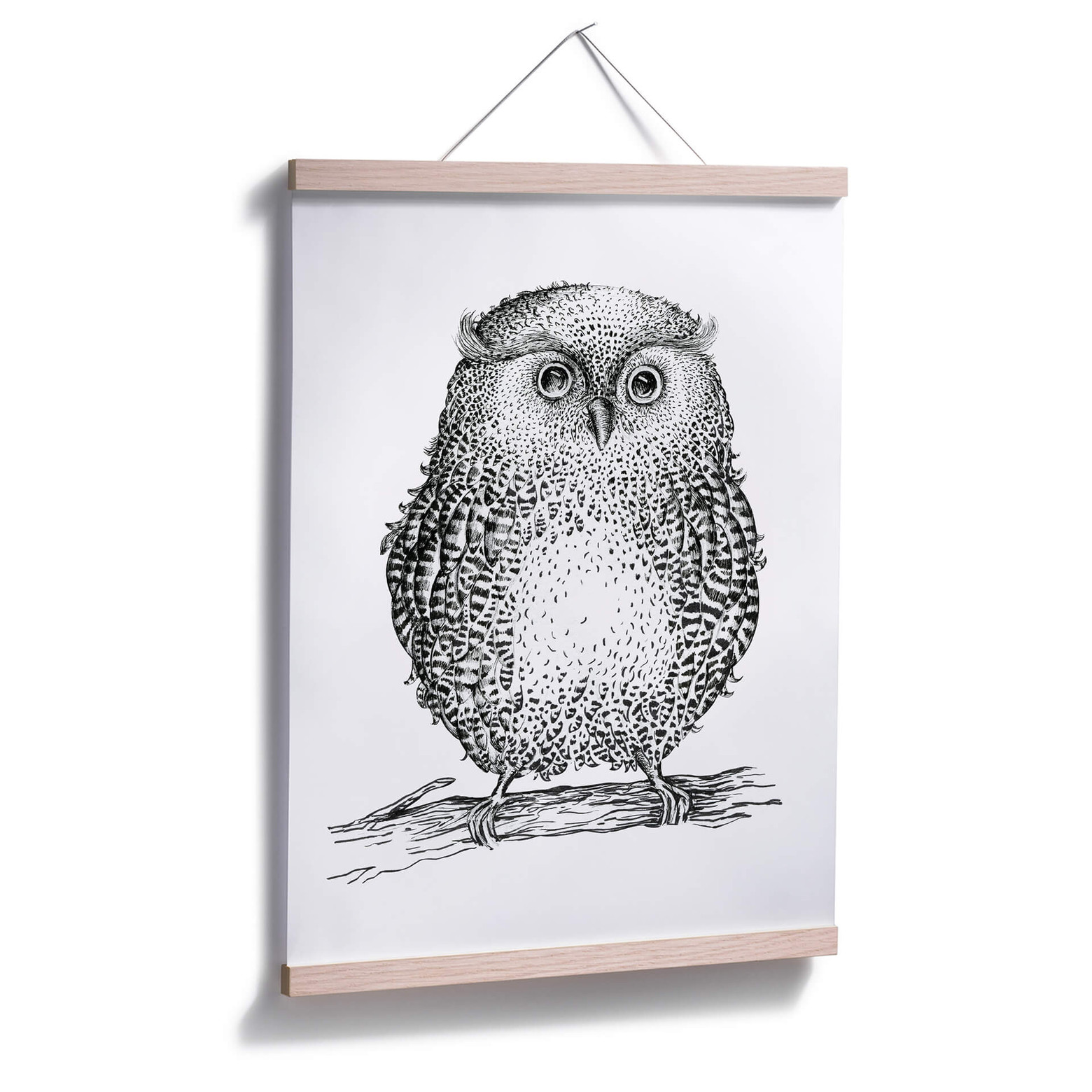 Poster Kvilis - Eule 02 | wall-art.de