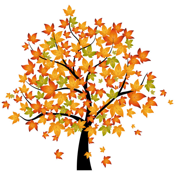 Wandtattoo Baum & Ranken | wall-art.de