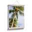 Poster - Palmen 07 | wall-art.de