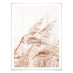 Poster Gräser im Wind | wall-art.de