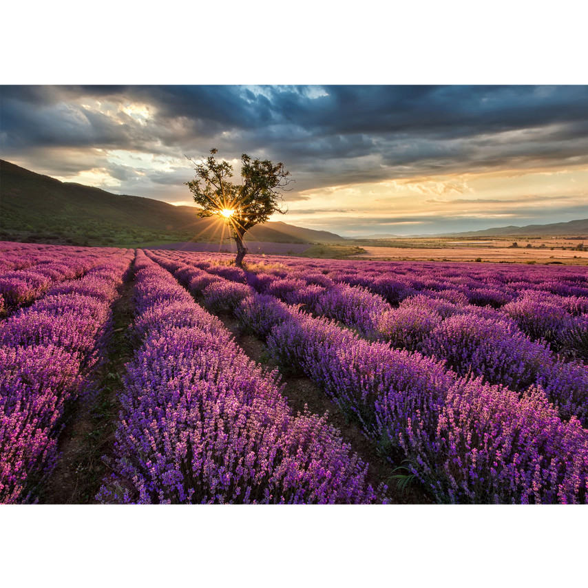 Tapet til væggen | wall-art.dk