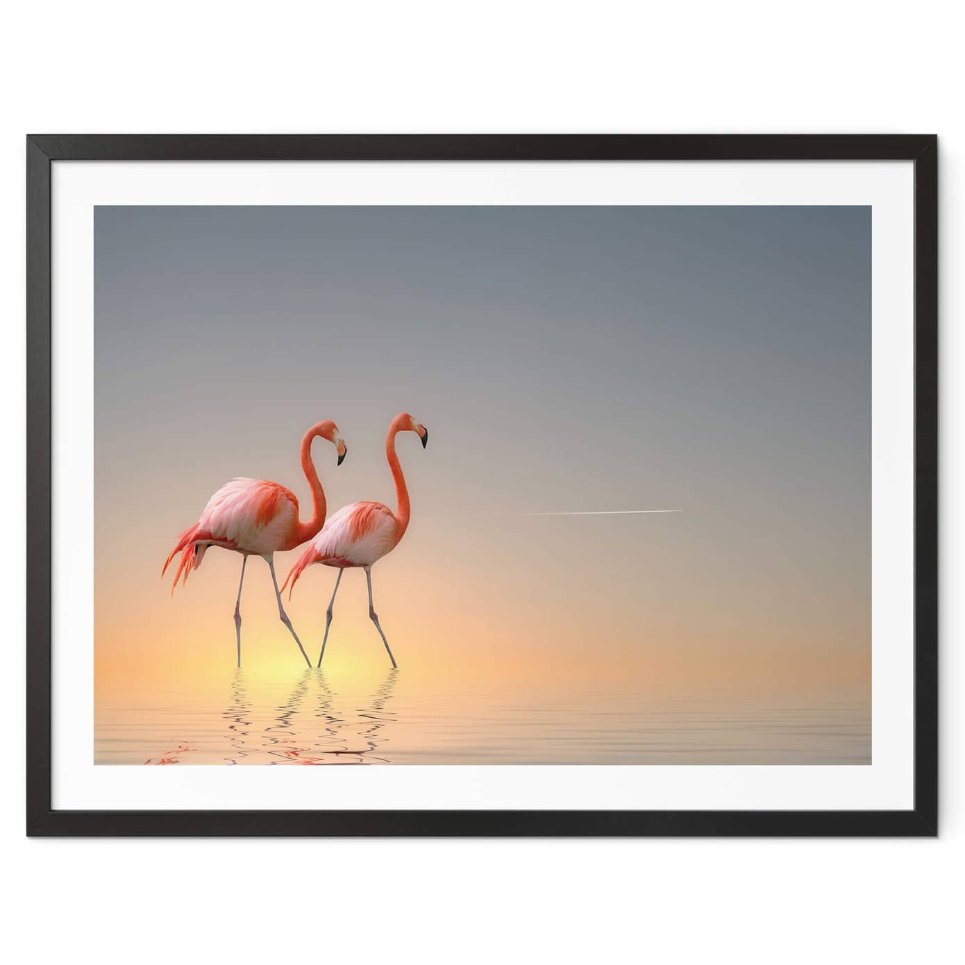 Poster Cseresnjes - Flamingos im Abendlicht | wall-art.de