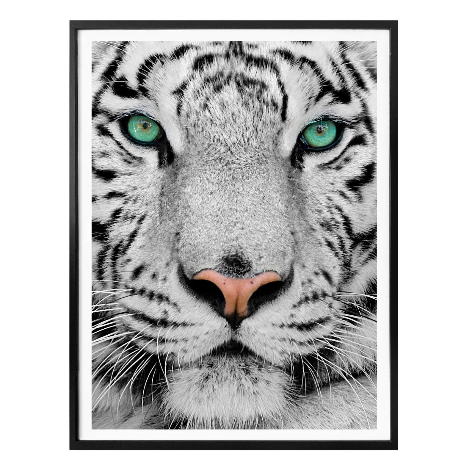 Poster Gorgeous Sumatran Tiger | wall-art.nl