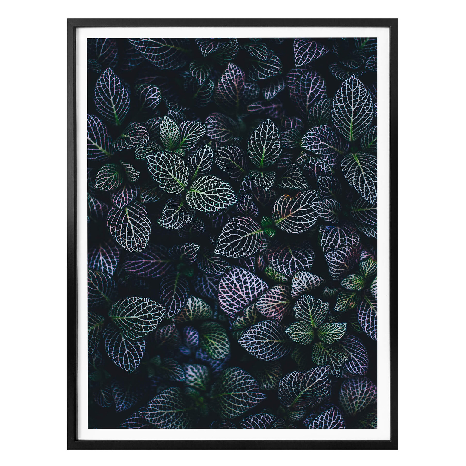 Poster Botanical Contrast | wall-art.de