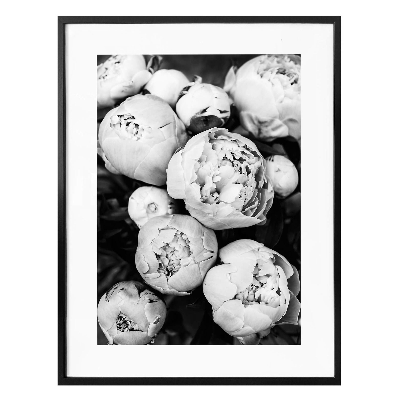 Poster Sisi & Seb - Roses trémières | wall-art.fr