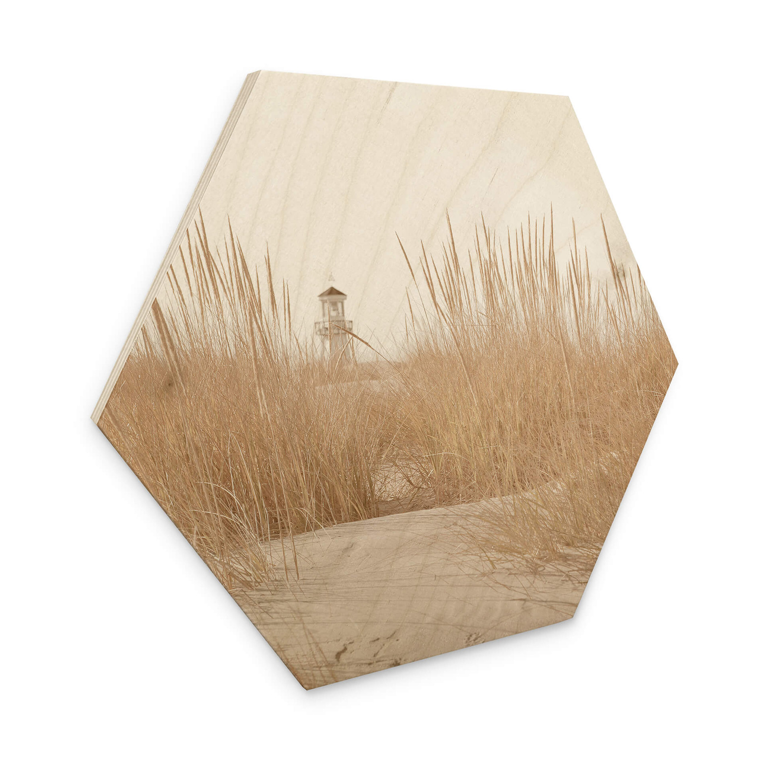 Hexagon Hout Vuurtoren in het duingras | wall-art.nl