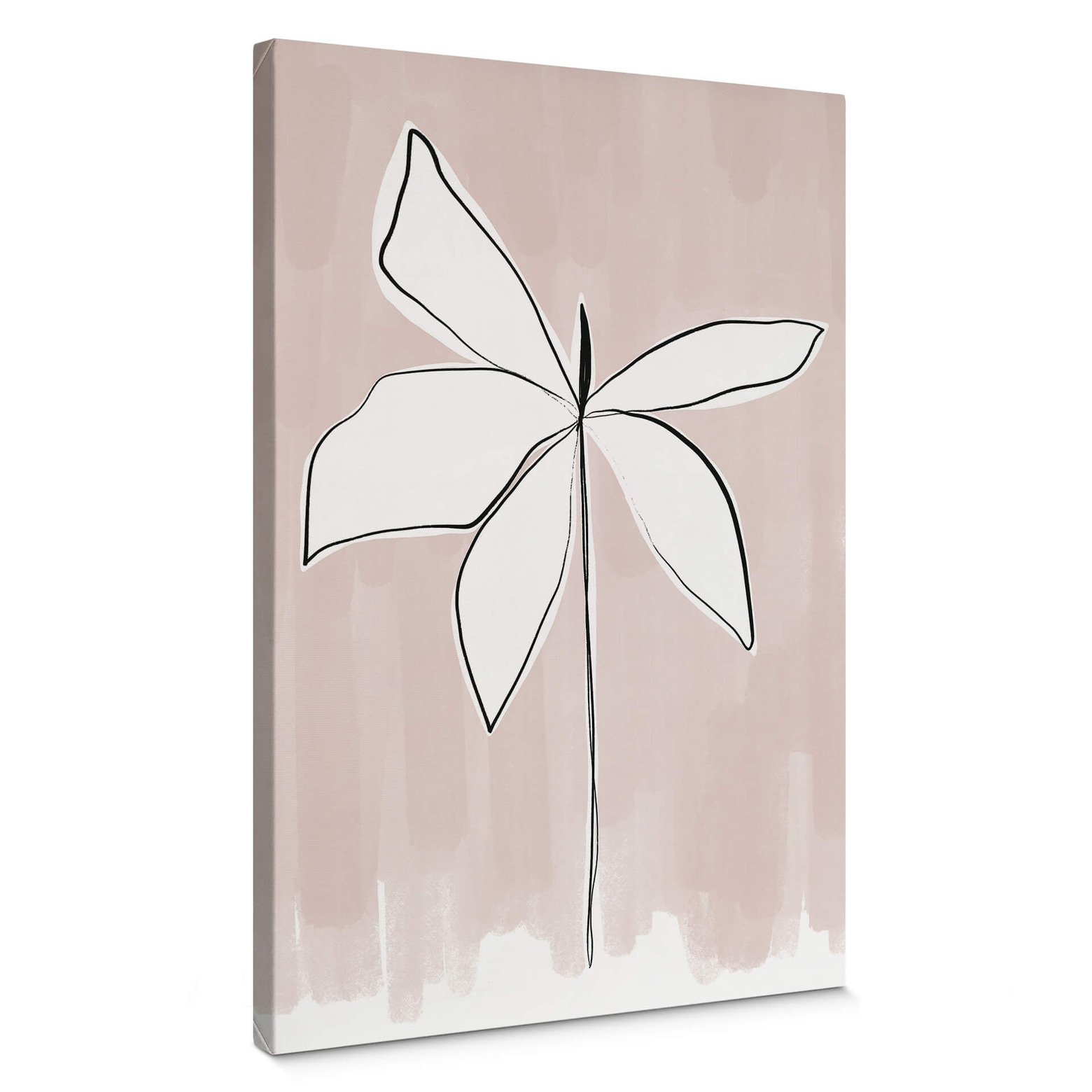 Leinwandbild uplusmestudio - Line Art - Das verlorene Blütenblatt | wall-art.de