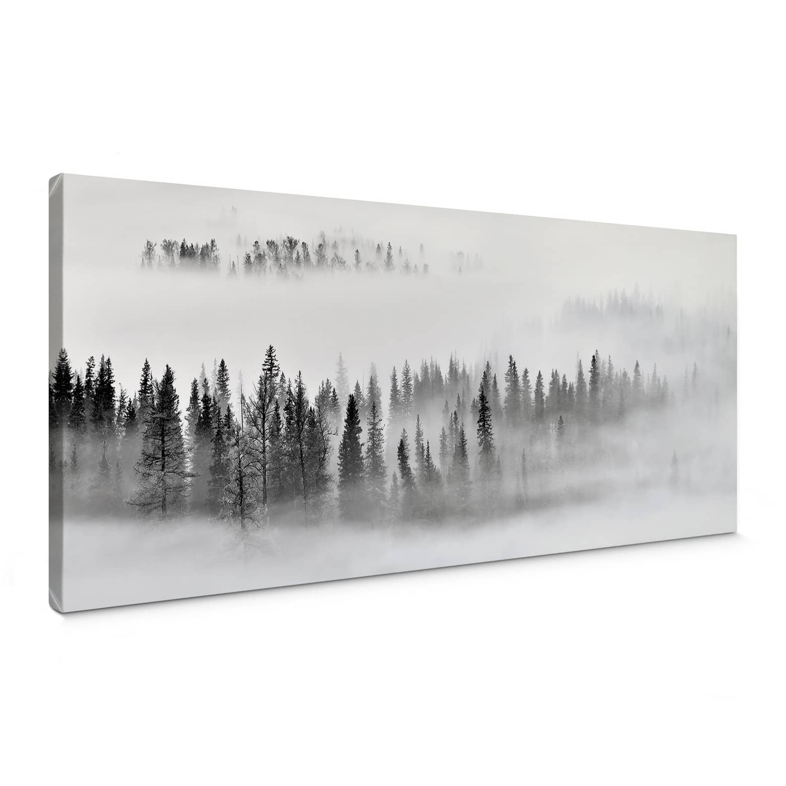 Leinwandbilder Schwarz Weiss