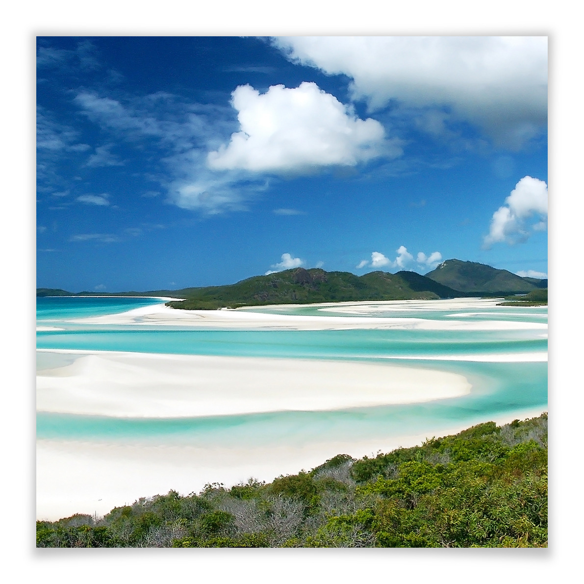 Poster Whitehaven Beach - square | wall-art.com
