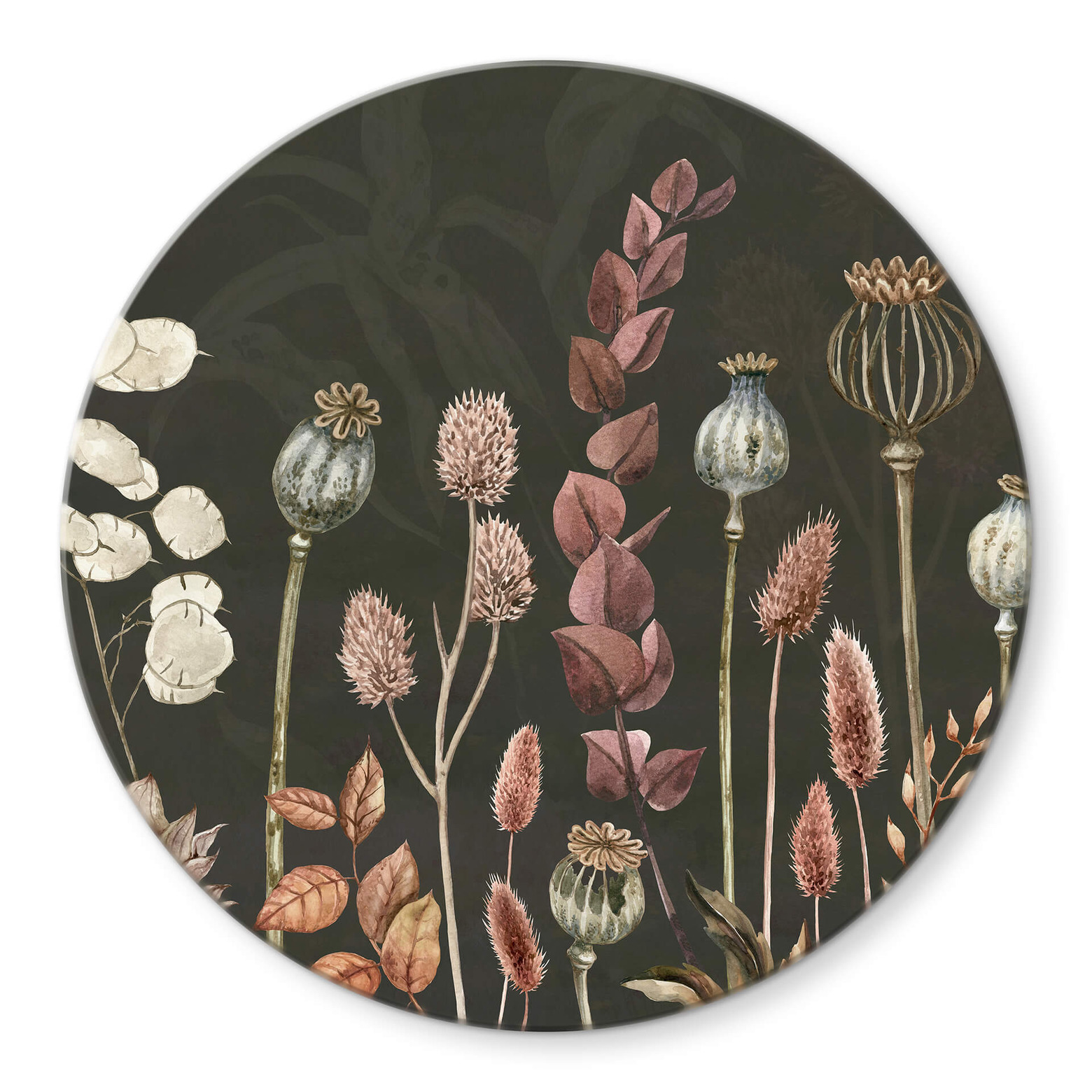 Glasschilderij rond Sir Edward - Droogbloemen Olijf | wall-art.nl