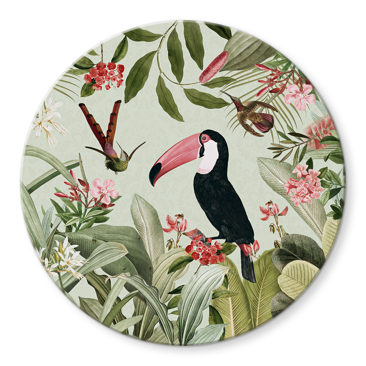 Glasbild Tukan im Dschungel-Paradies - UN Designs - Rund | wall-art.de