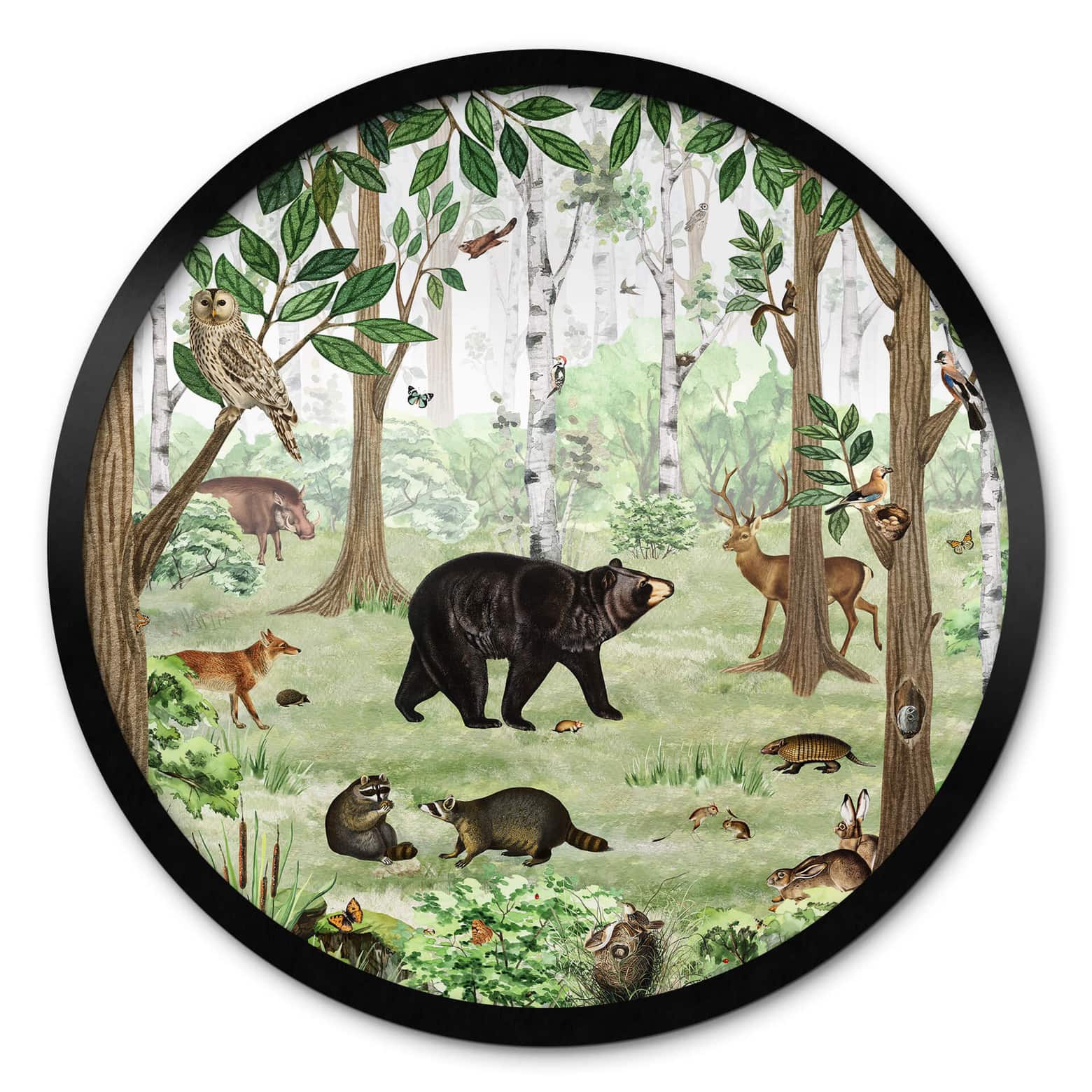 Poster Kikki Belle - Wald Suchbild - Rund | wall-art.de