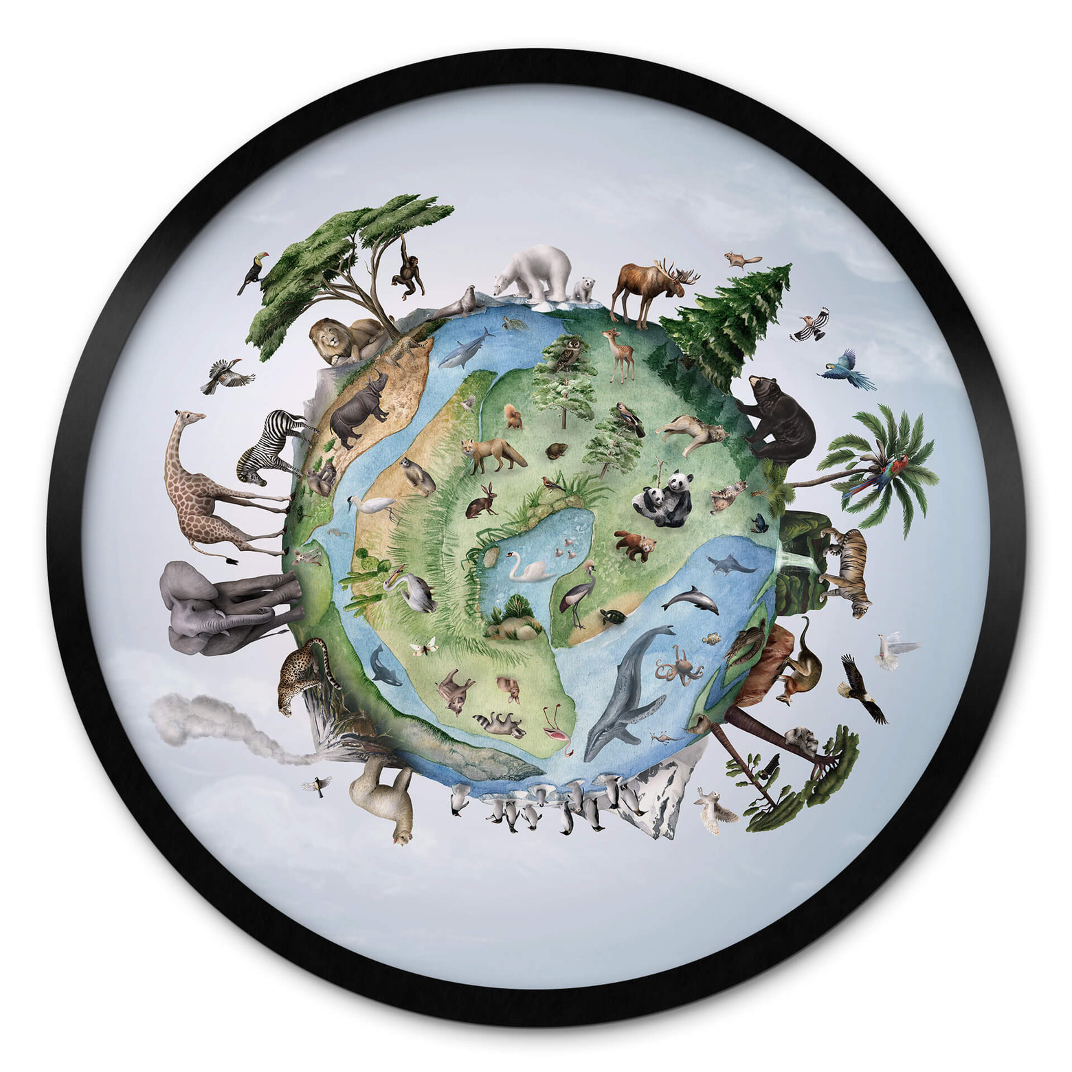 Poster rond Kikki Belle - Animals around the World | wall-art.nl