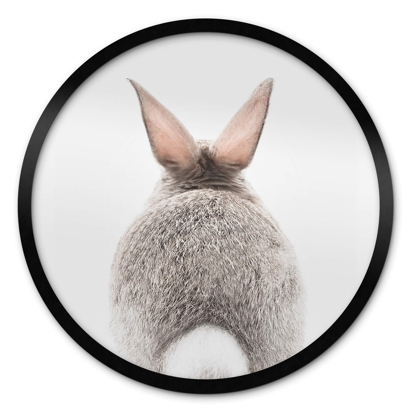 Poster Sisi & Seb - Bunny | wall-art.fr