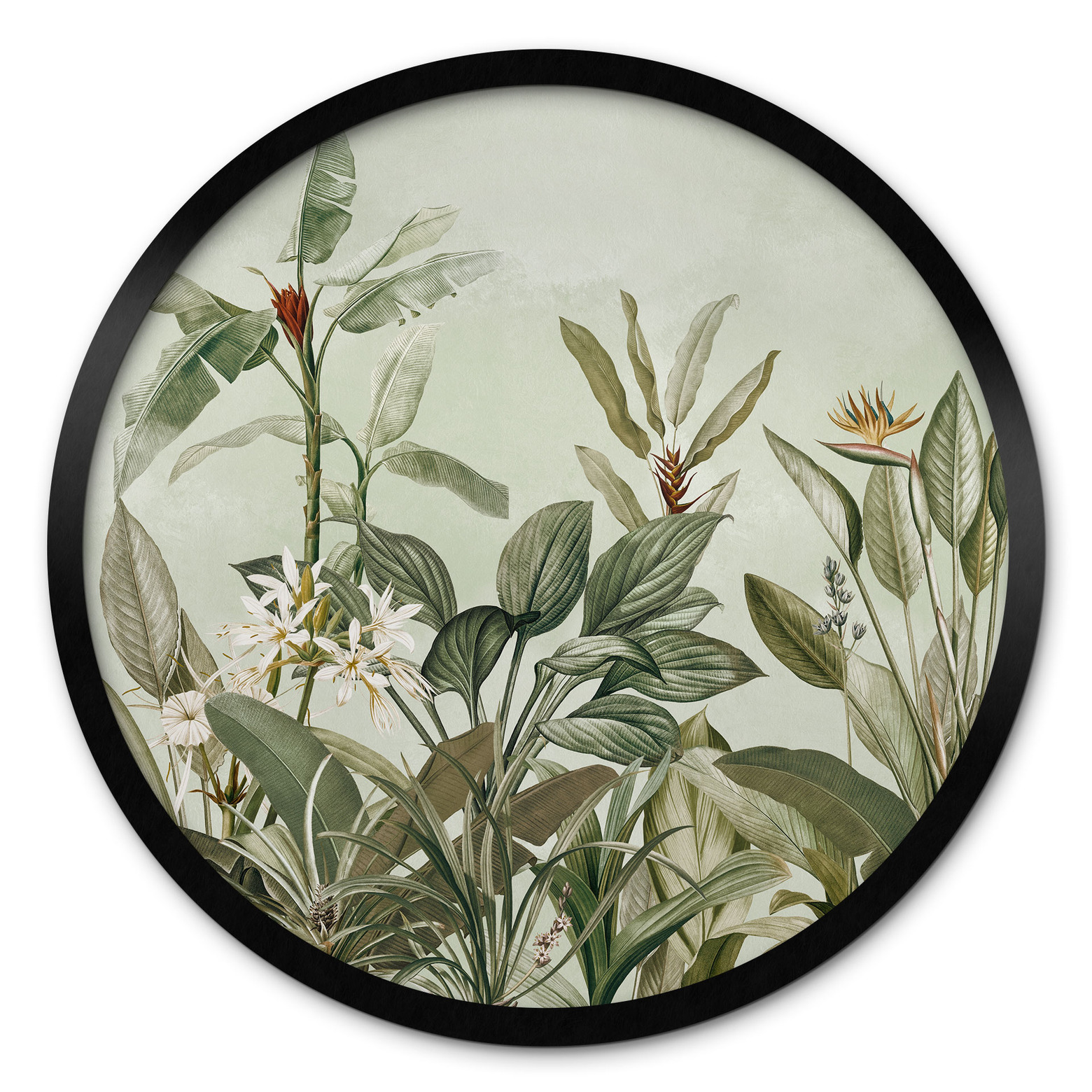 Poster Botanica tropicale - UN Designs | wall-art.it