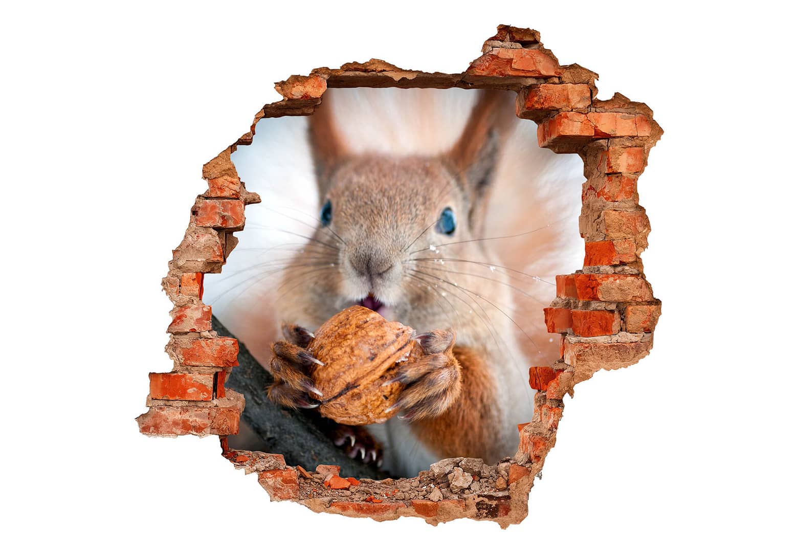 Sticker mural 3D Ecureuil avec noisette | wall-art.fr