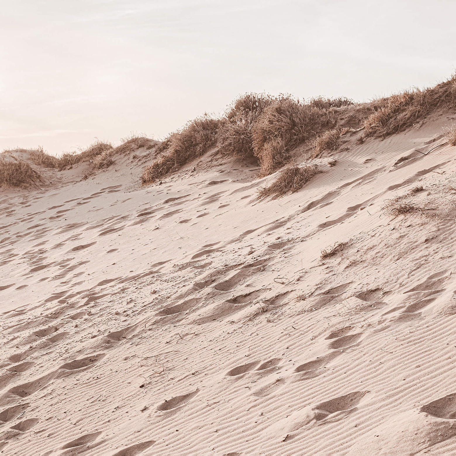 Fototapete 1X Studio - Sandstrand | wall-art.de