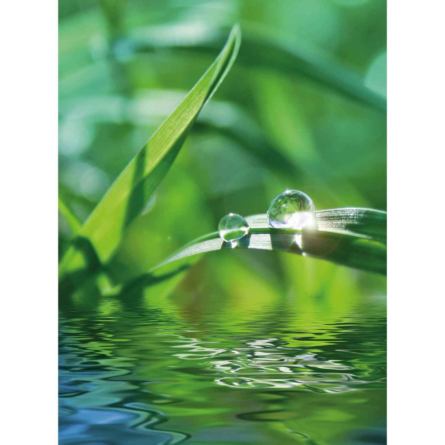 Fotobehang Natuur 6 | wall-art.nl