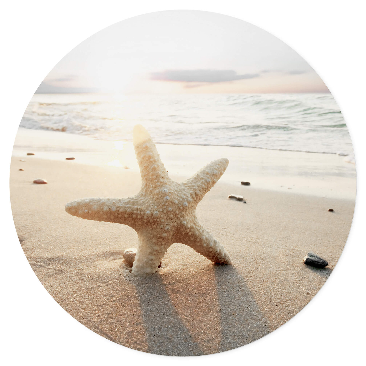Wandtattoo Funkelnder Seestern am einsamen Strand - Rund | wall-art.de