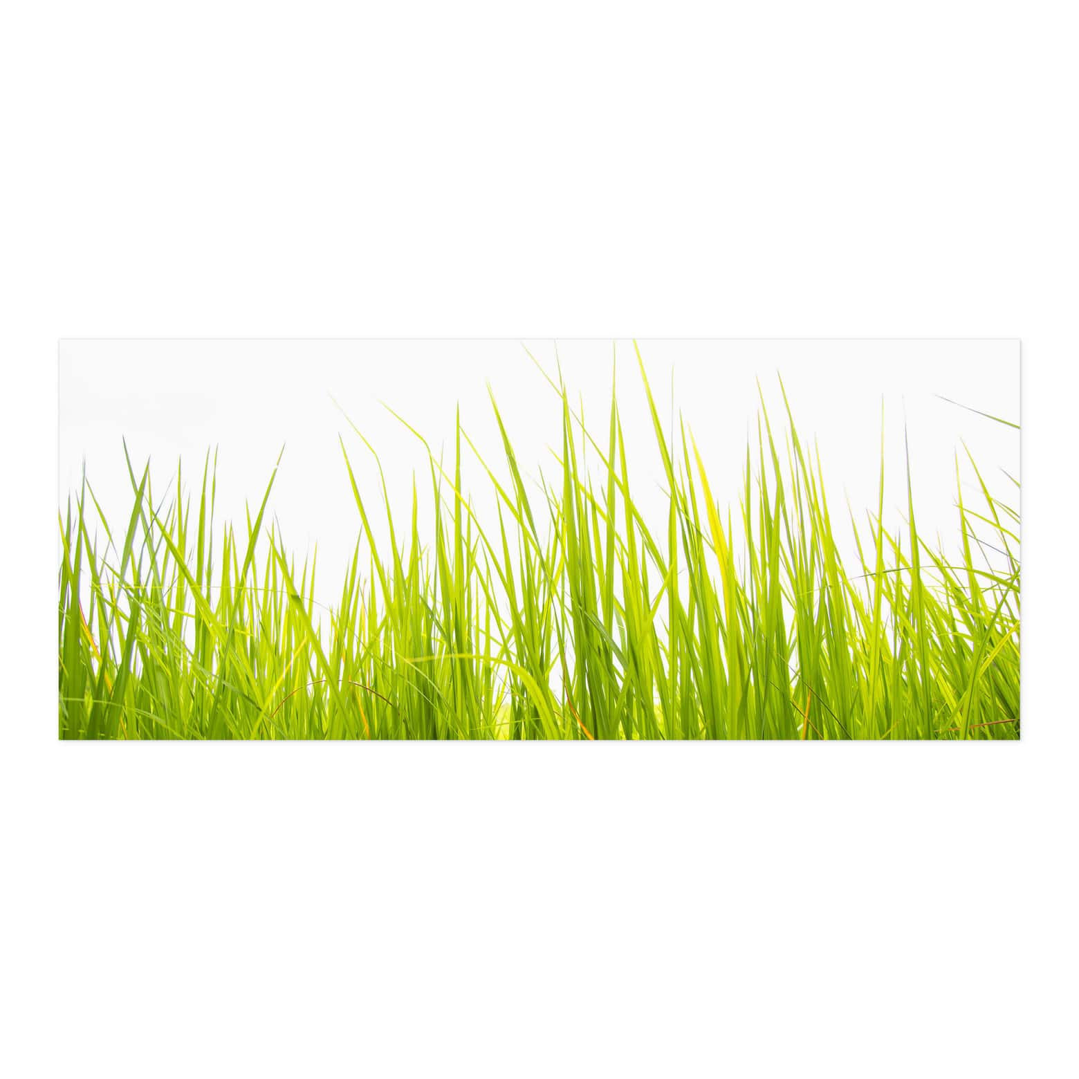 Zelfklevende Keukenachterwand Hoog Gras | wall-art.nl