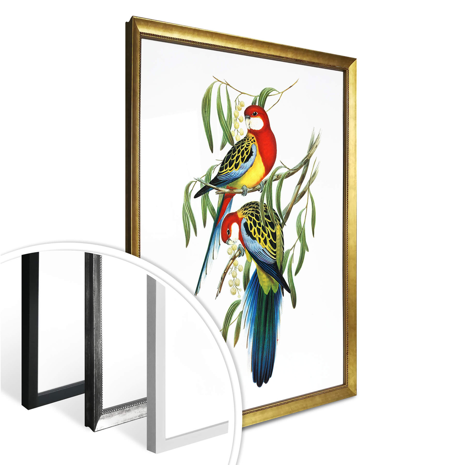 Poster Bonte Vogels | wall-art.nl