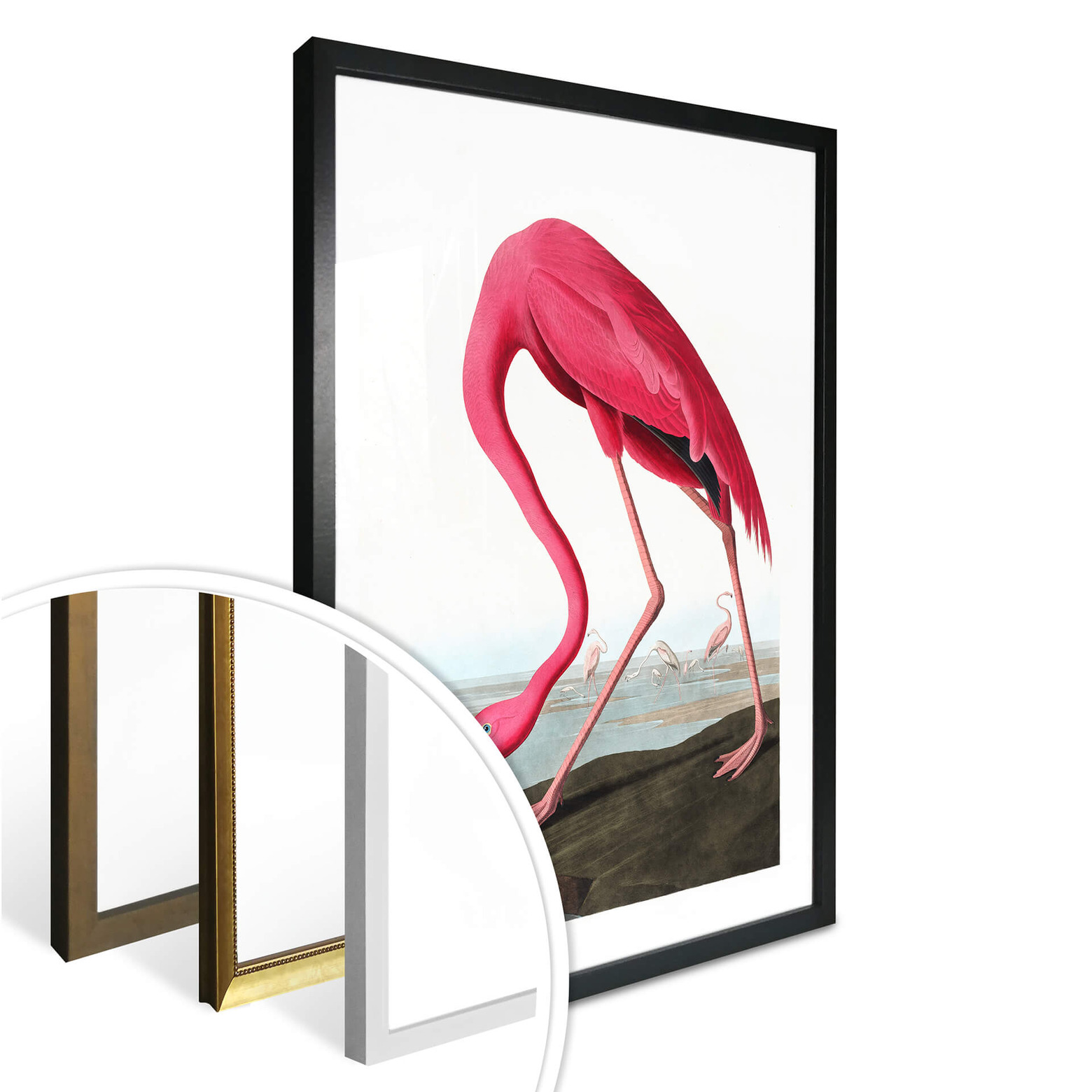 Poster Flamant rose | wall-art.fr