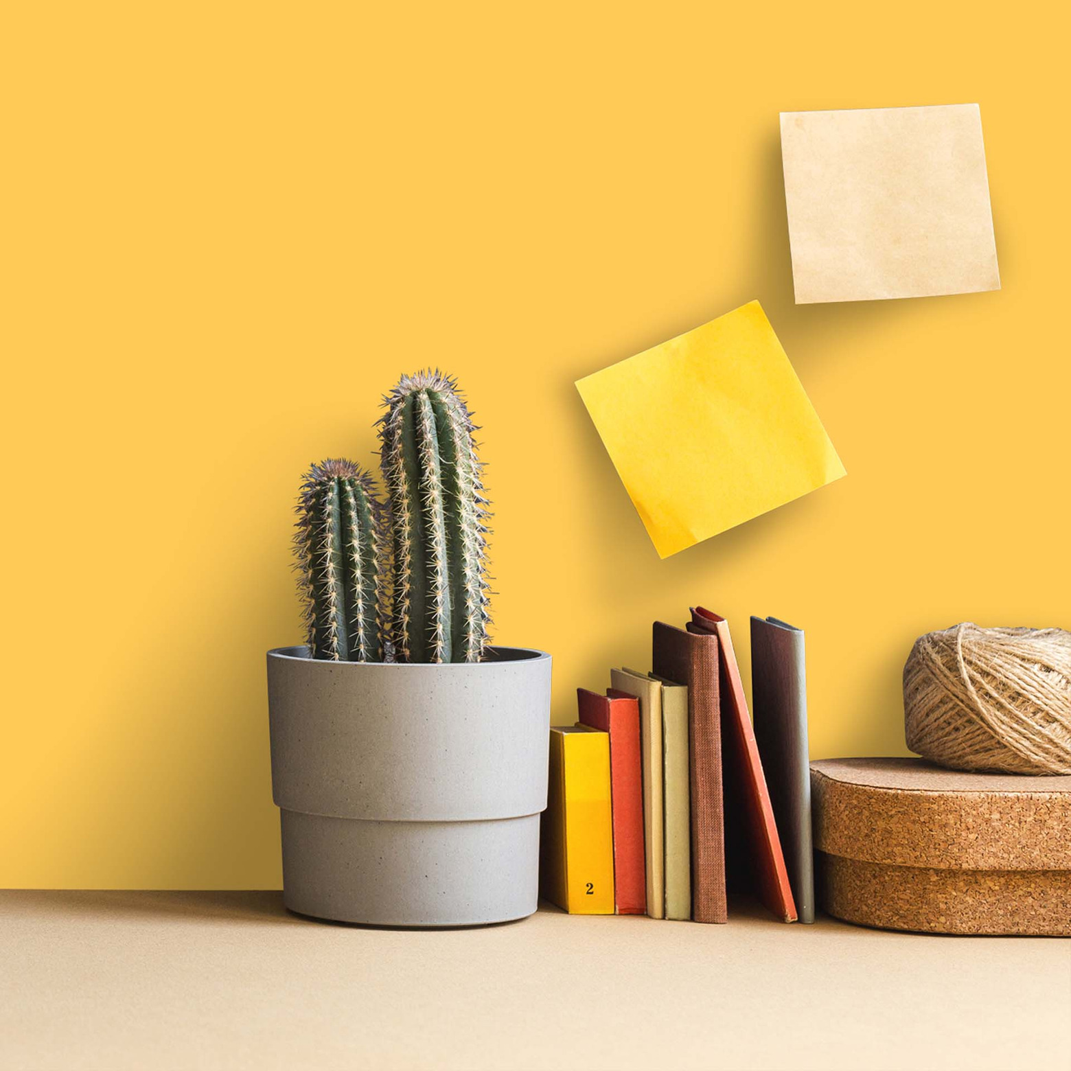 Muurverf geel zijdemat - THE COLOR KITCHEN Mighty Mango | wall-art.nl