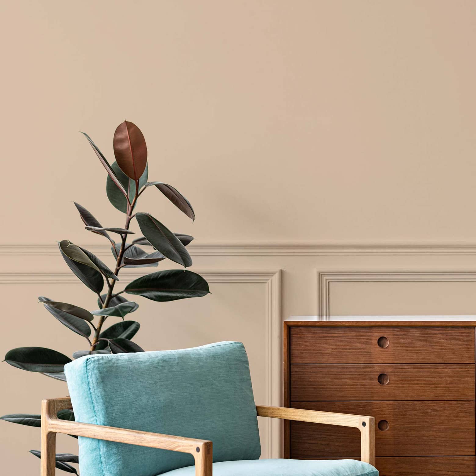 Peinture murale beige satiné mat - THE COLOR KITCHEN Nutty Nutmeg ...