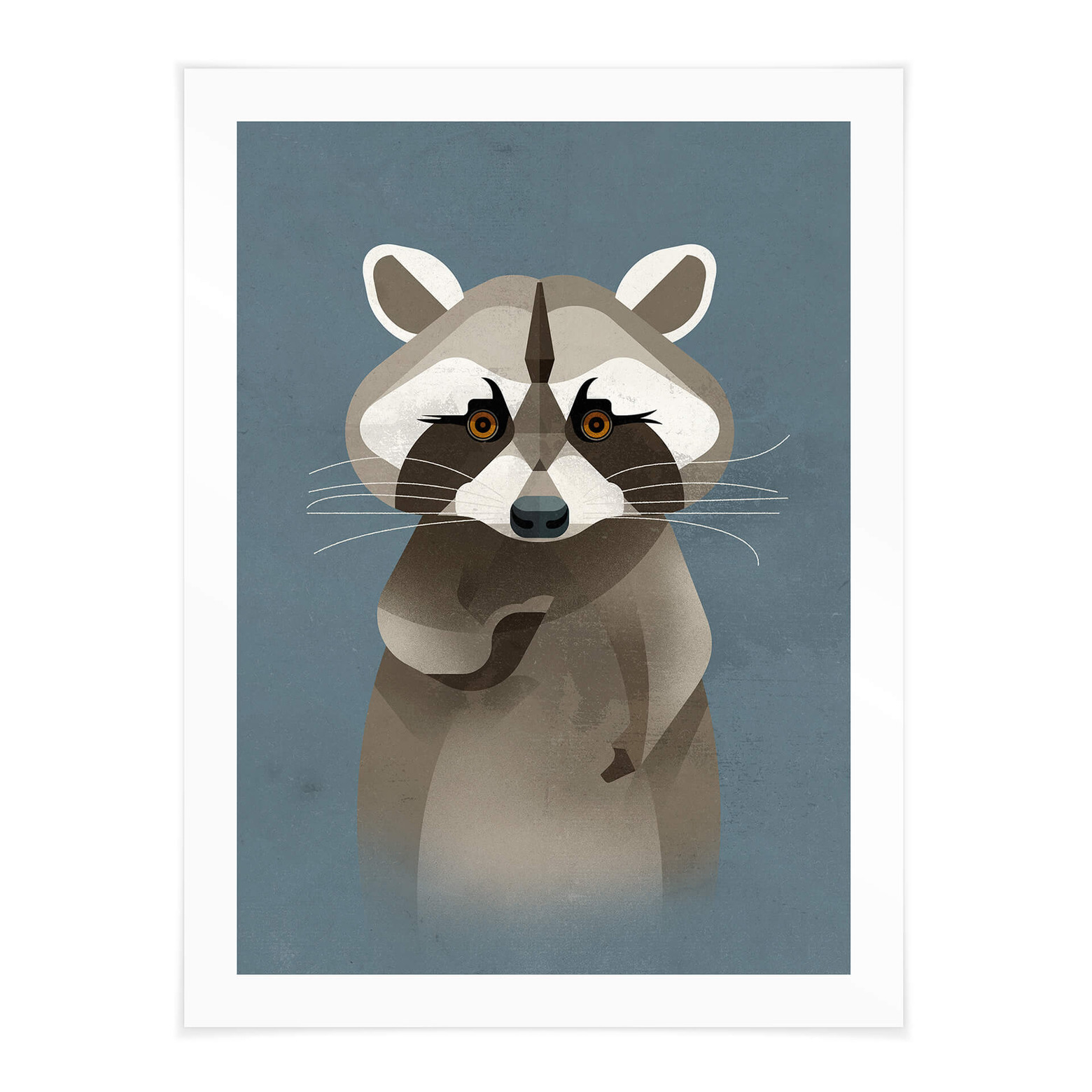Poster Raccoon - Braun | wall-art.com