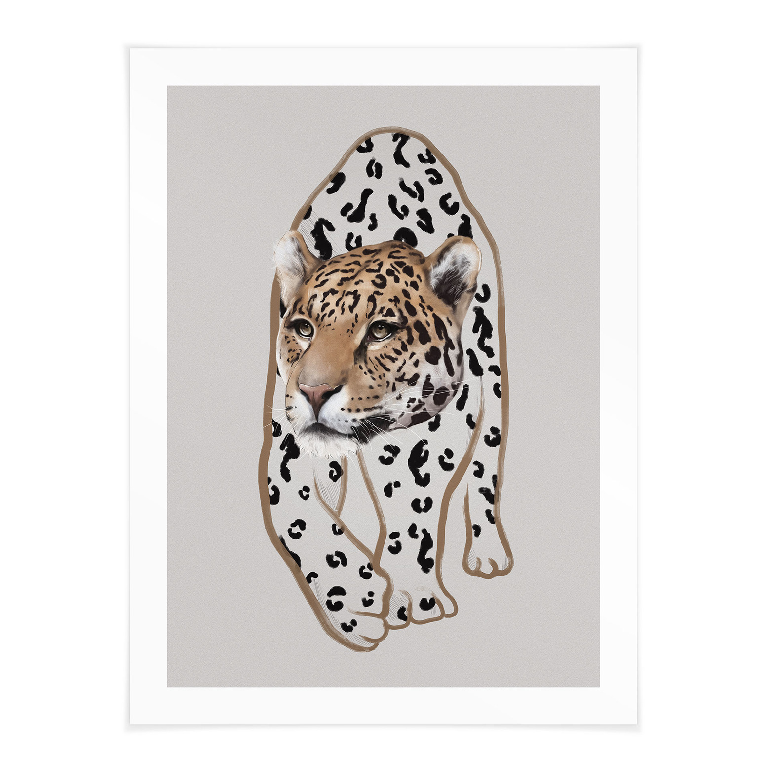 Poster Leopard illustration - Roberg | wall-art.com