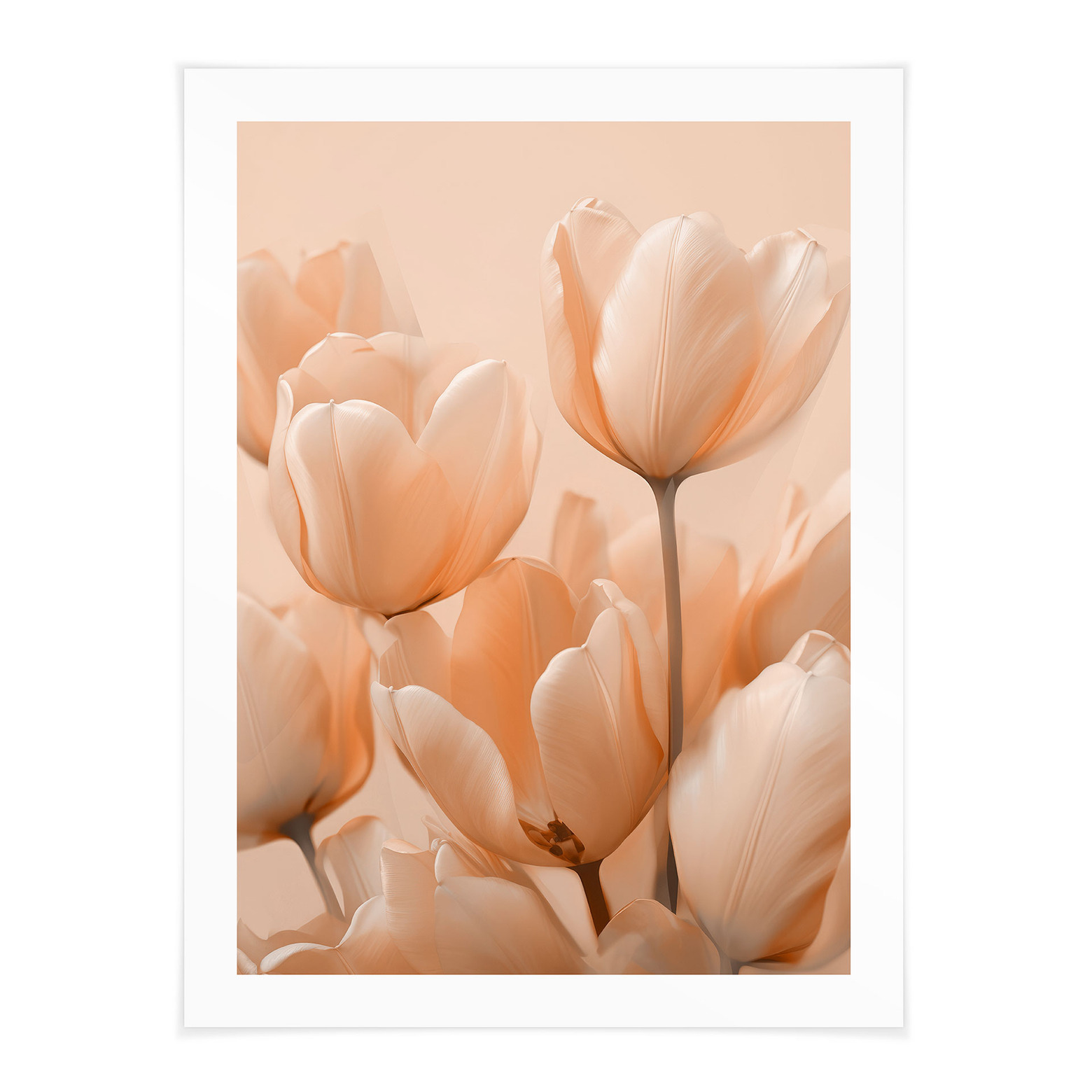Poster Tulipani color pesca - Treechild | wall-art.it