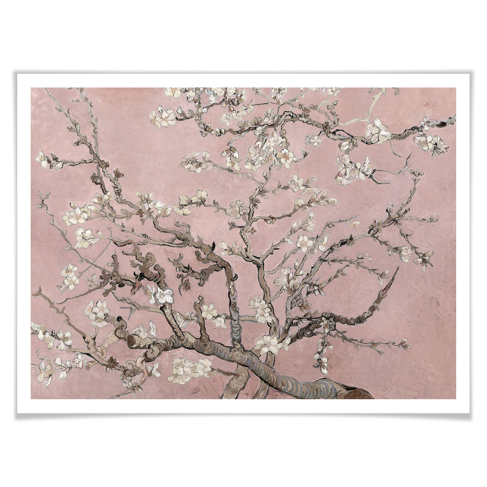 Poster van Gogh - Mandelblüte Rosé | wall-art.de