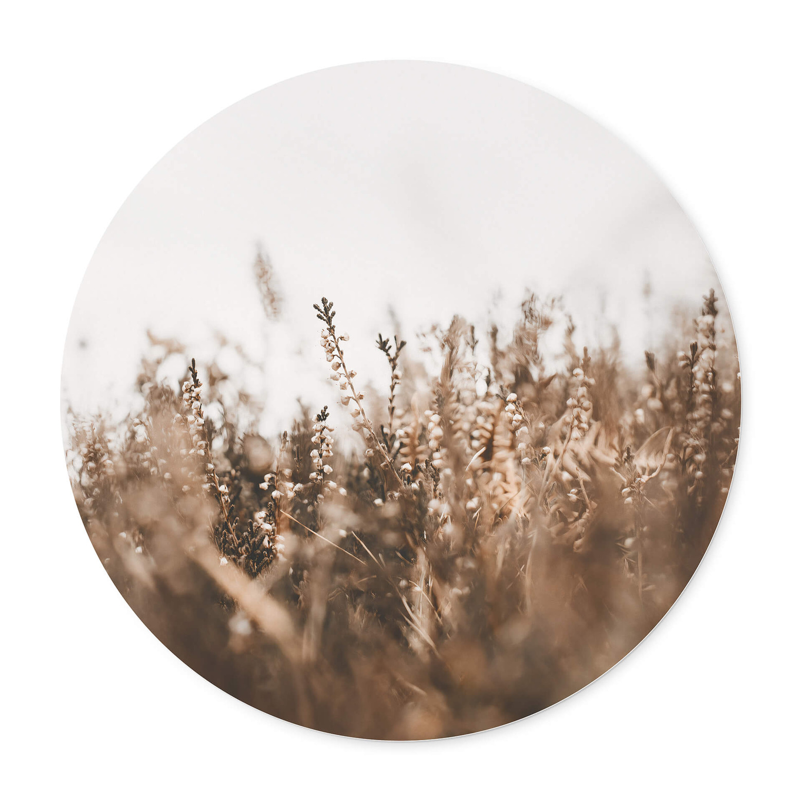 Poster Annie - Herbes de prairie | wall-art.fr