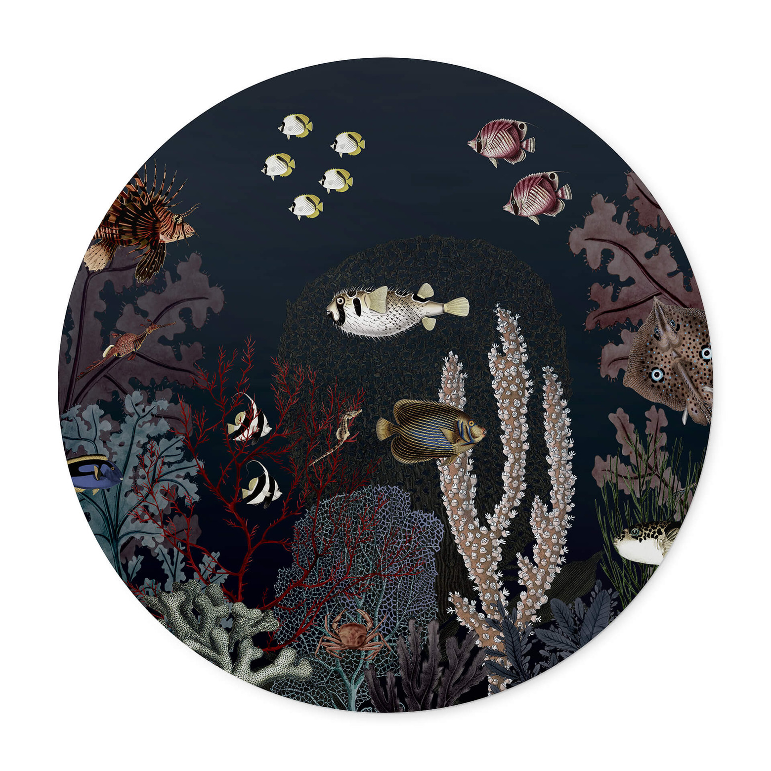 Poster Sir Edward - Tief im Ozean - Rund | wall-art.de