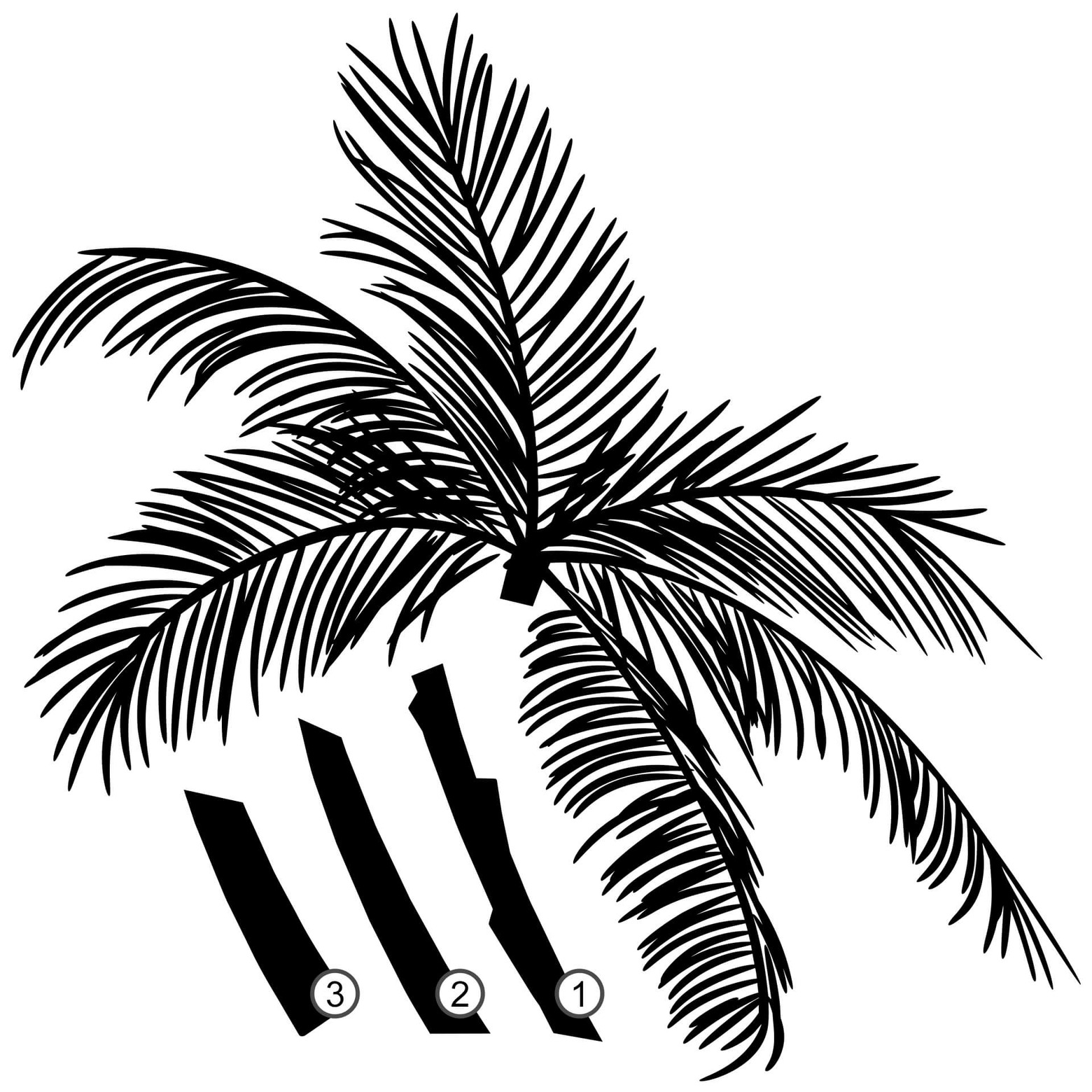 Sticker mural palmier tropical | wall-art.fr