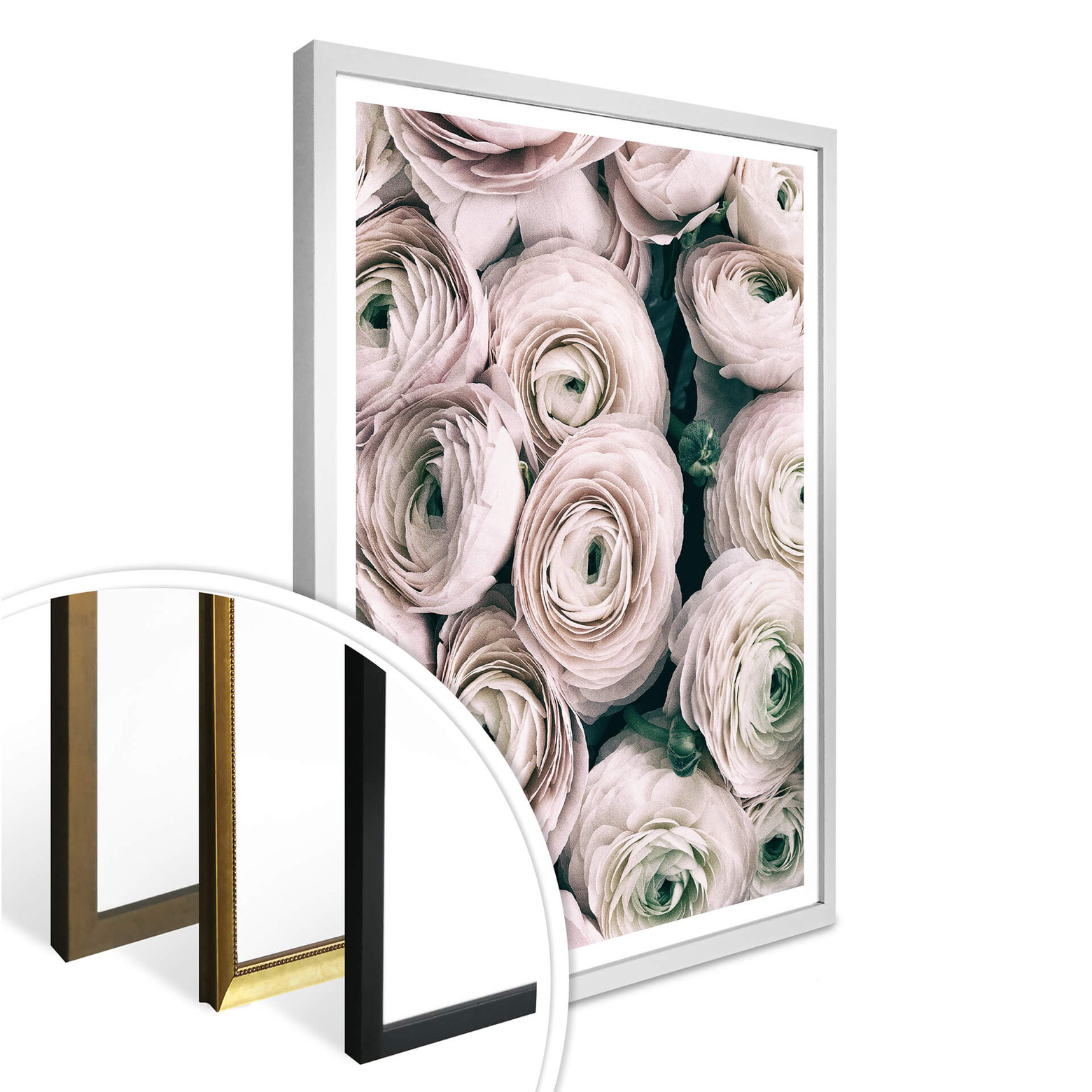 Poster Vintage Ranunkel | wall-art.de