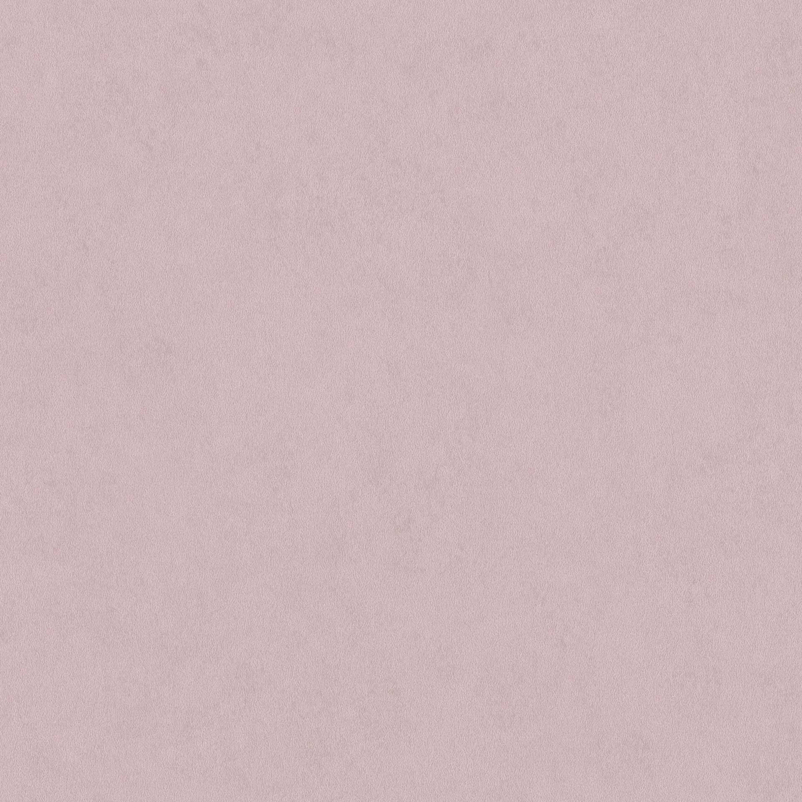 vliesbehang effen kleur paars - glad behang - modern mat behangpapier ...